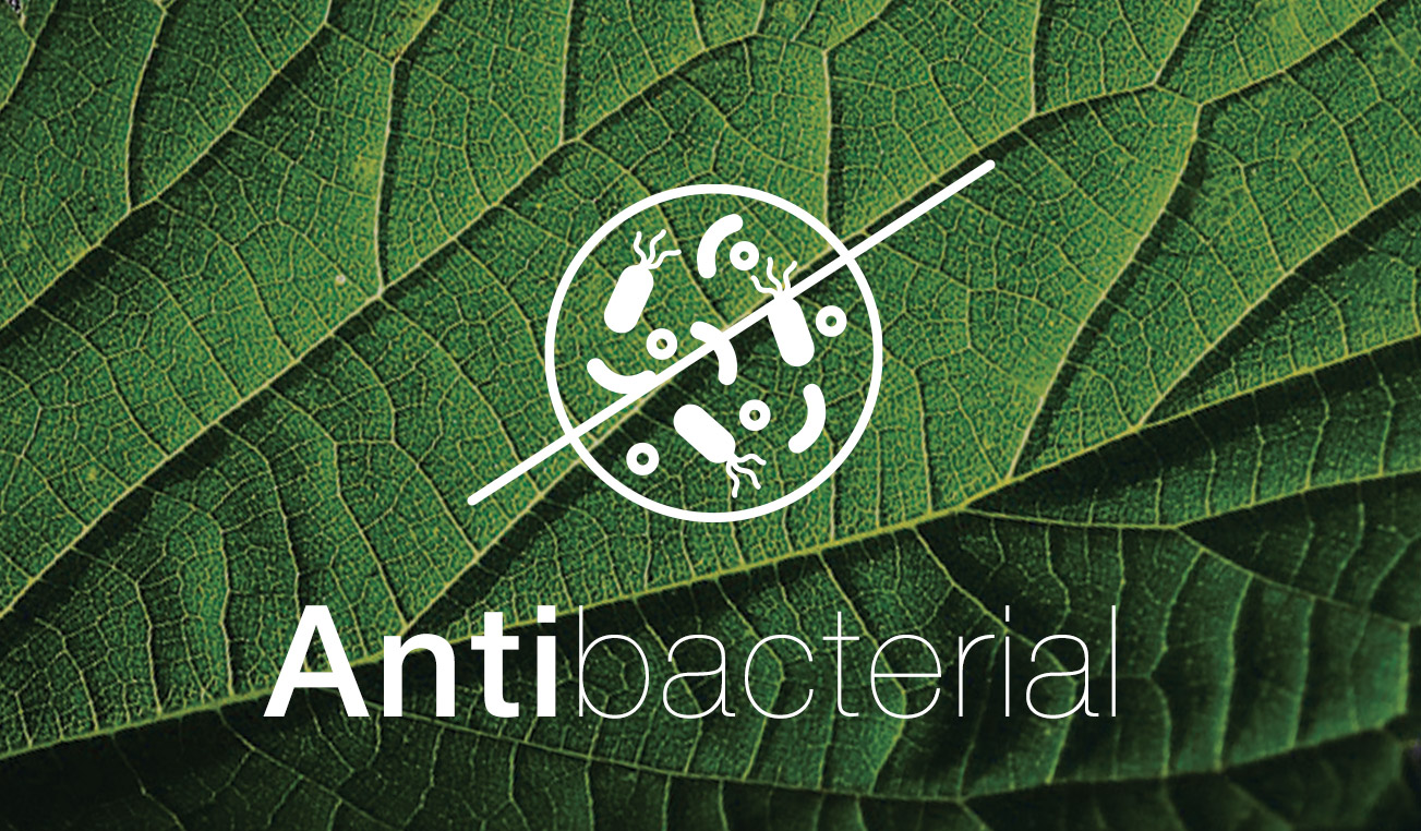 ADVANCE®: Covid-Free Antibacterial Gres Ceramic Tiles